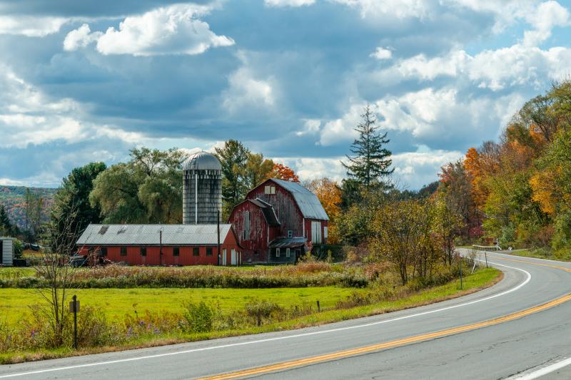 Finger Lakes Wine Trail - Adventure Van - Road Trip